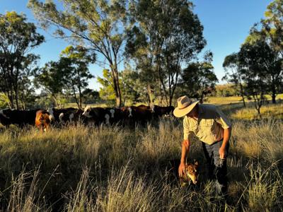 Conservation group welcomes… | Australian Conservation Foundation