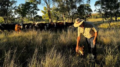 Australia is a megadiverse… | Australian Conservation Foundation