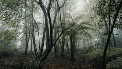 Australia is a megadiverse… | Australian Conservation Foundation