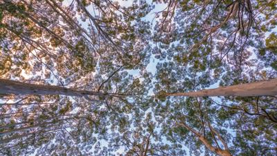 The Mighty Murray | Australian Conservation Foundation