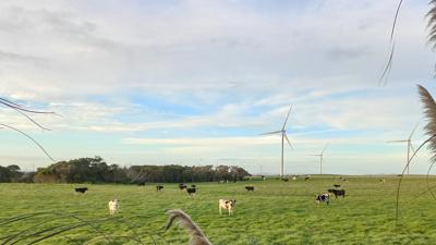 Australia is a megadiverse… | Australian Conservation Foundation