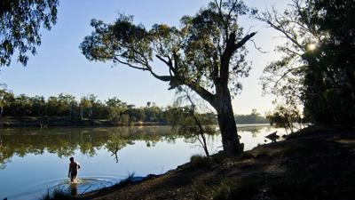 Australia is a megadiverse… | Australian Conservation Foundation