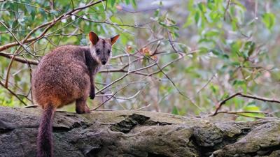 Australia’s food bowl – How… | Australian Conservation Foundation