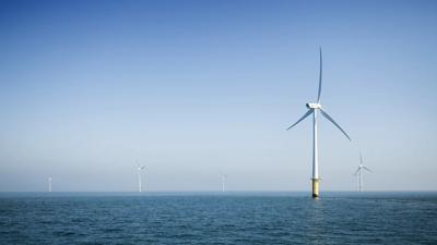 Koala | Australian Conservation Foundation