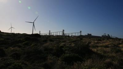 How are our koalas really doing? | Australian Conservation Foundation