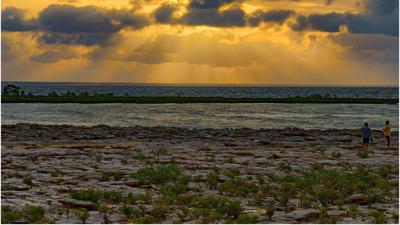 Australia is a megadiverse… | Australian Conservation Foundation