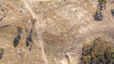 Australia is a megadiverse… | Australian Conservation Foundation