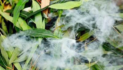 Recognition of First Nations… | Australian Conservation Foundation