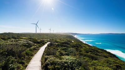Koala | Australian Conservation Foundation