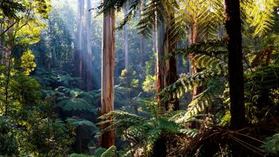 Australia is a megadiverse… | Australian Conservation Foundation