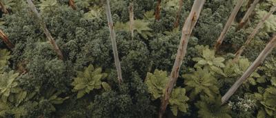 Australia is a megadiverse… | Australian Conservation Foundation