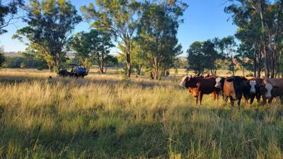 Australia is a megadiverse… | Australian Conservation Foundation