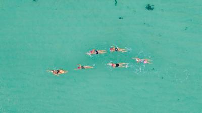 Australia is a megadiverse… | Australian Conservation Foundation