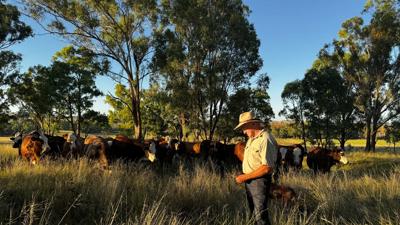 Australia is a megadiverse… | Australian Conservation Foundation