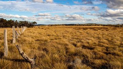 Australia is a megadiverse… | Australian Conservation Foundation