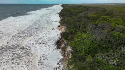 Australia is a megadiverse… | Australian Conservation Foundation