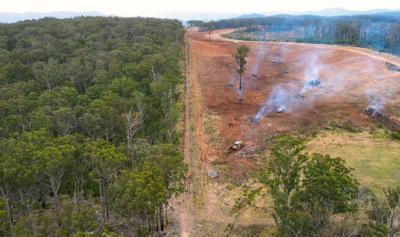 Financed Deforestation: The… | Australian Conservation Foundation