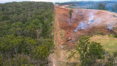 Our beloved bilby under threat | Australian Conservation Foundation