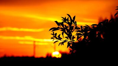 What does My Climate look like… | Australian Conservation Foundation