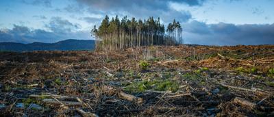 What is climate change? | Australian Conservation Foundation