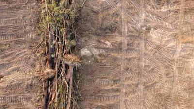 What does My Climate look like… | Australian Conservation Foundation