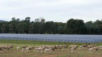 Australia is a megadiverse… | Australian Conservation Foundation