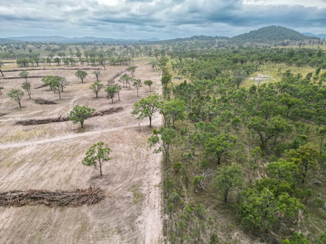 New Environment Law… Yet Deforestation Continues | Mirage News