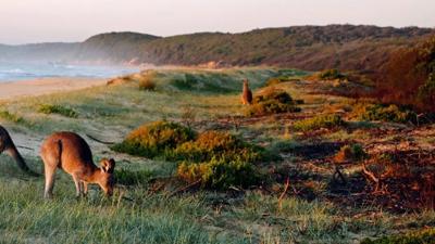 Australia is a megadiverse… | Australian Conservation Foundation