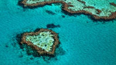 Australia is a megadiverse… | Australian Conservation Foundation