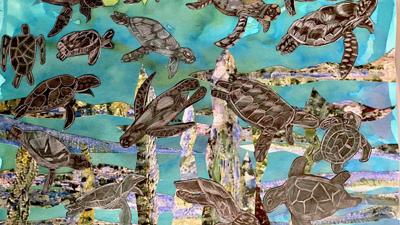 Australia is a megadiverse… | Australian Conservation Foundation