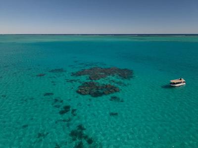 Ningaloo reef; a stunning… | Australian Conservation Foundation