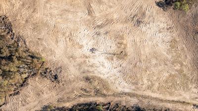 Australia is a megadiverse… | Australian Conservation Foundation