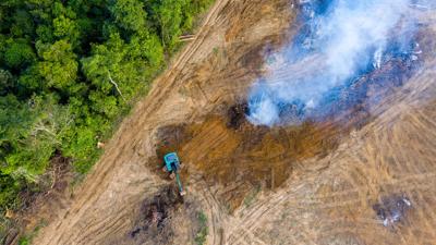 Our beloved bilby under threat | Australian Conservation Foundation